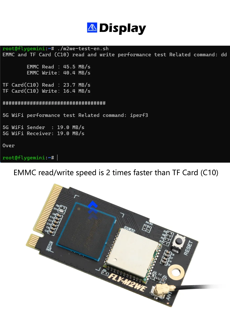 Mellow Fly Pi (FLY-π) - DConqueror3D